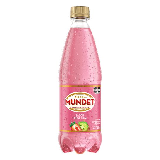 ¿Donde ordenar en linea Refresco Ameyal (coca-cola company ...