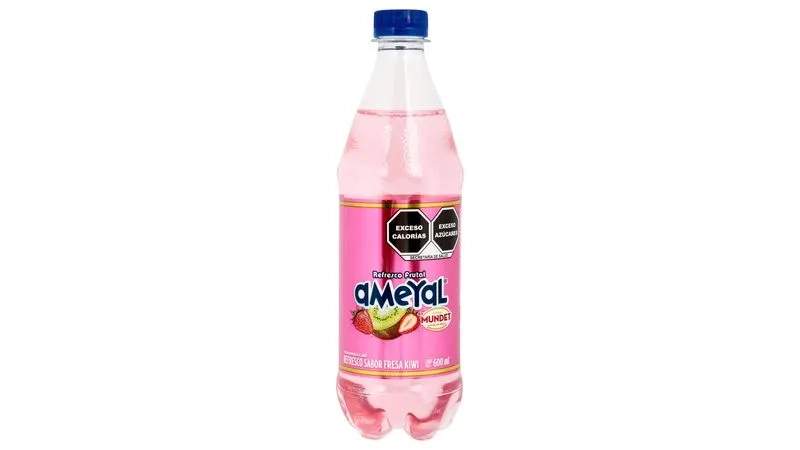 ¿Donde ordenar en linea Refresco Ameyal (coca-cola company ...